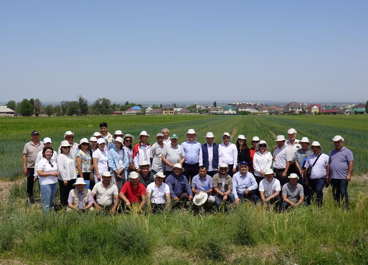 FAO holds workshop and training in Bishkek on prevention and management ...