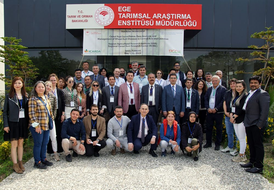 International experts meet in Türkiye to combat the threat of wheat ...