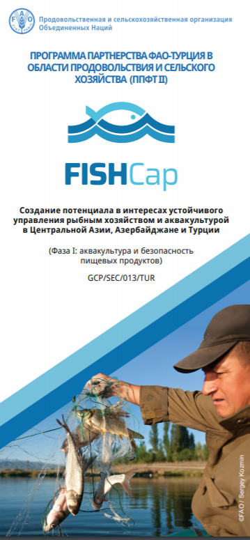 Project Brochures | FAO and Türkiye Partnership | Food and Agriculture ...