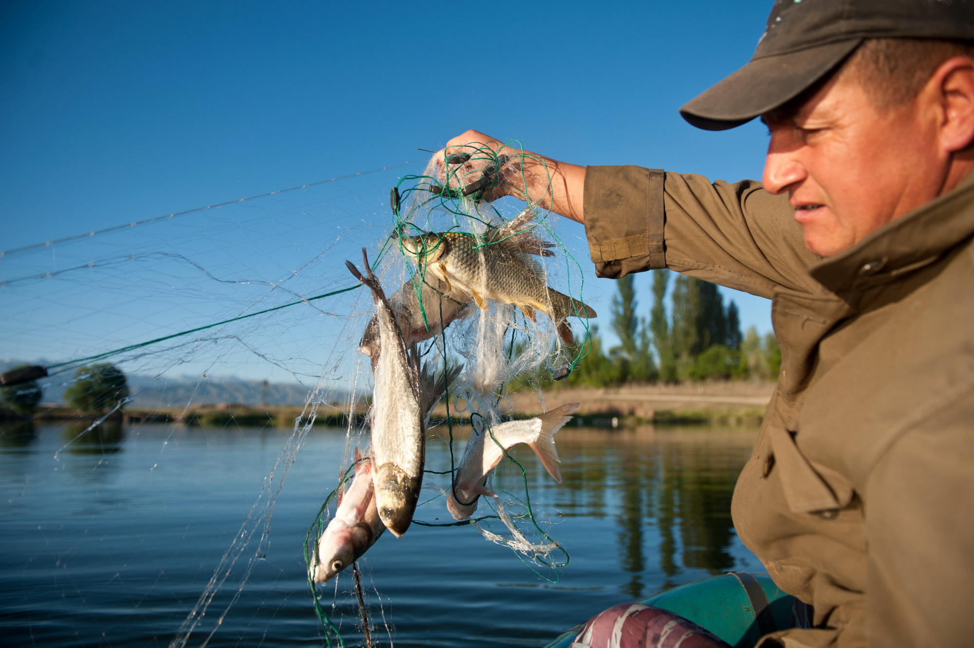 Experts joined a webinar on the challenges of fisheries and aquaculture ...