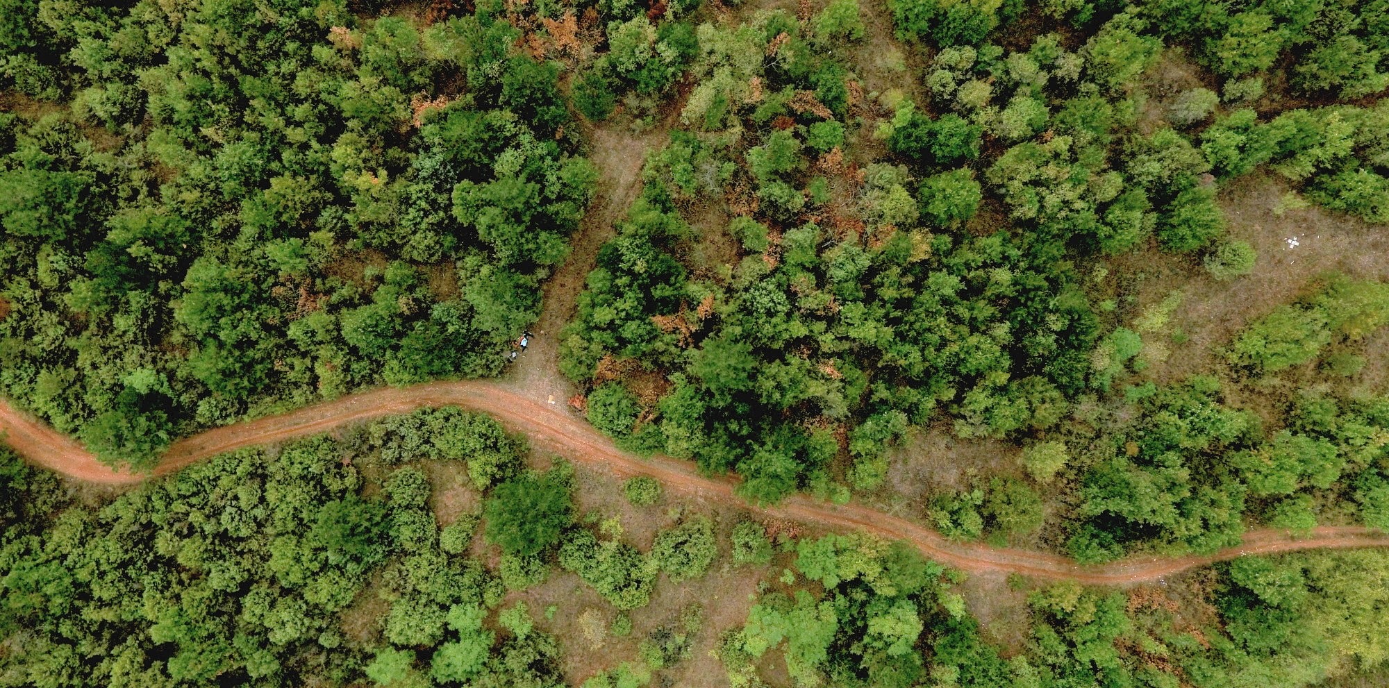 Capacity Building in Sustainable Forest Management Planning and Forest ...