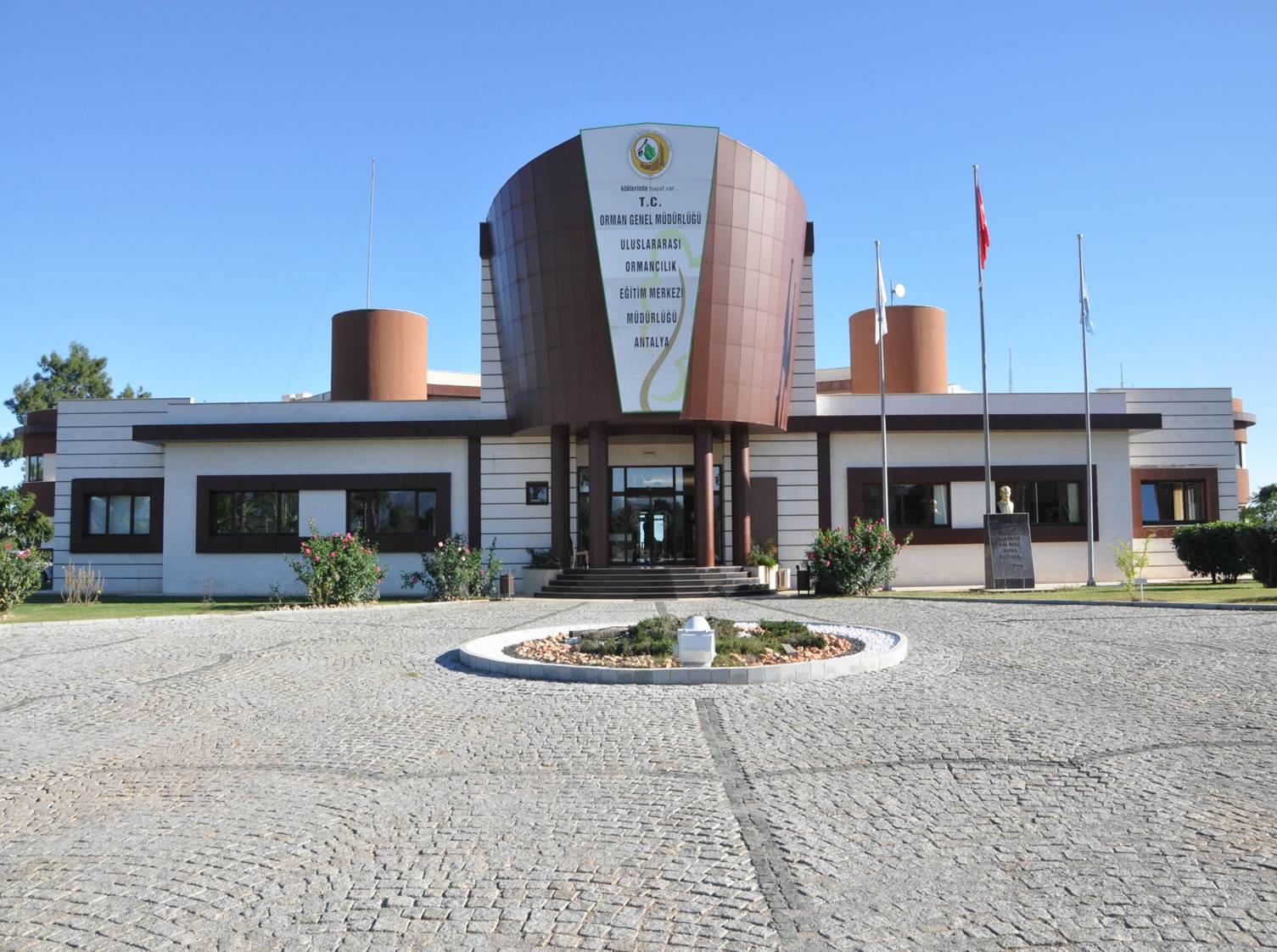 Charting the future of forestry – stakeholders convene to develop 10 ...