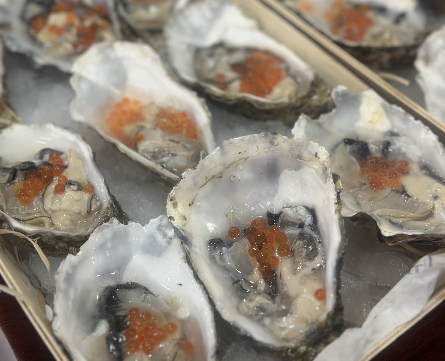 FISHCap project contributes to the development of shellfish aquaculture ...