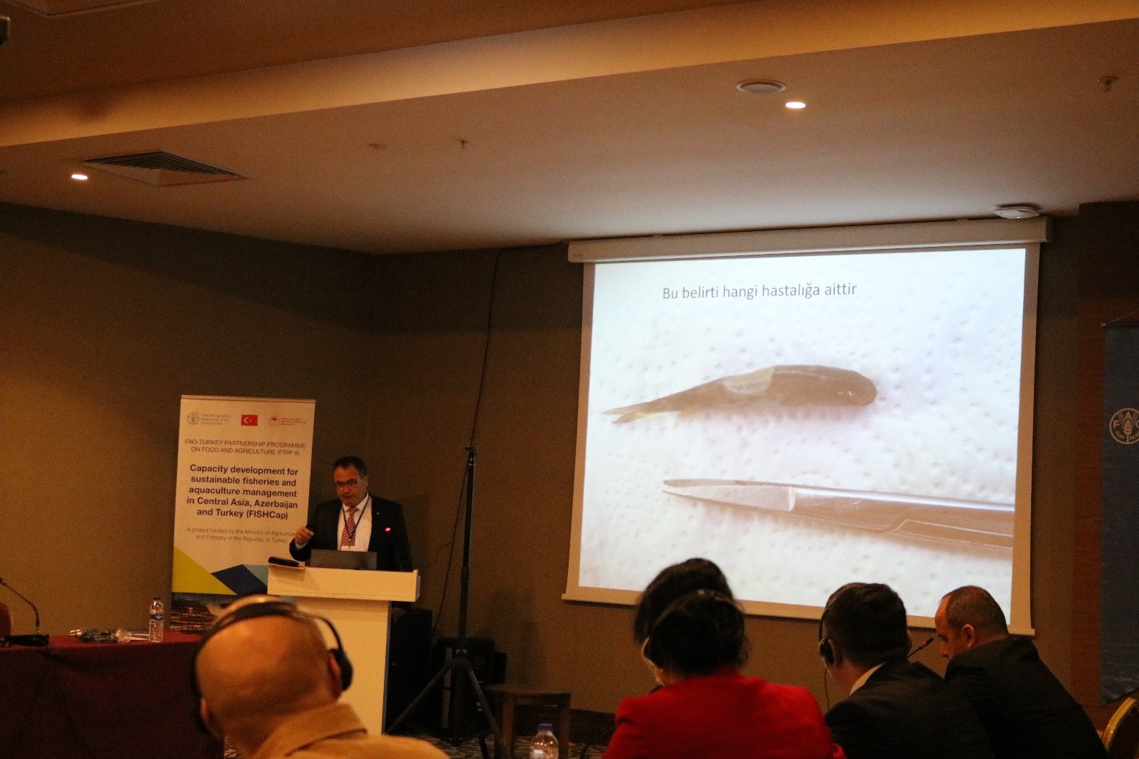 FISHCap workshop sheds light on fish health management and fish ...