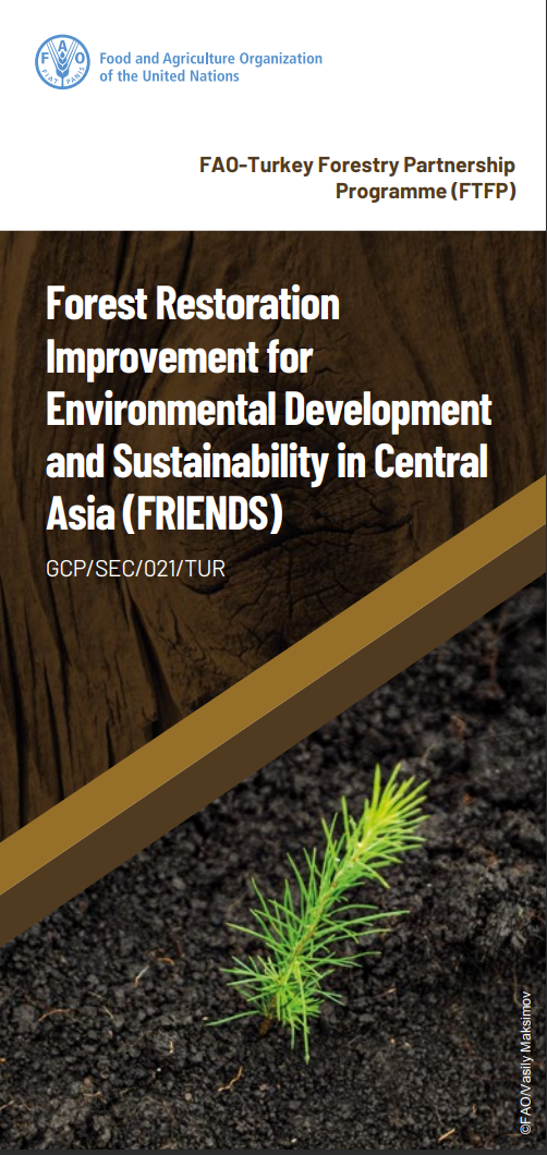 Project Brochures | FAO and Türkiye Partnership | Food and Agriculture ...