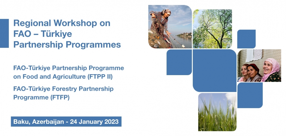 Regional workshop on FAO–Türkiye Partnership Programmes | FAO and ...