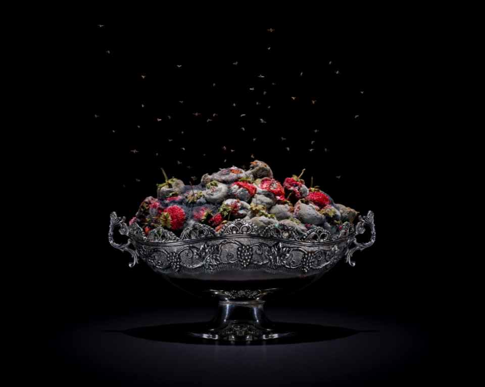 “Gorgeous” food waste Photography exhibition depicting food waste opens ...