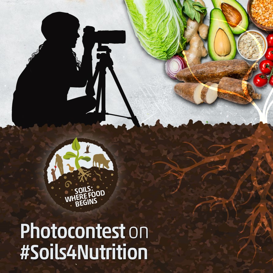 World Soil Day, 5 December | Food and Agriculture Organization of the ...