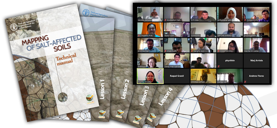 Online training on digital soil mapping | Global Soil Partnership ...