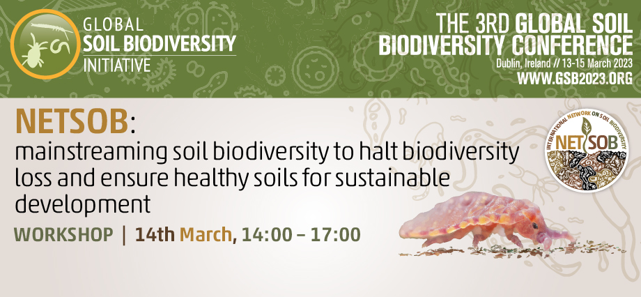 Global Soil Biodiversity conference | NETSOB Workshop | Dublin - March ...
