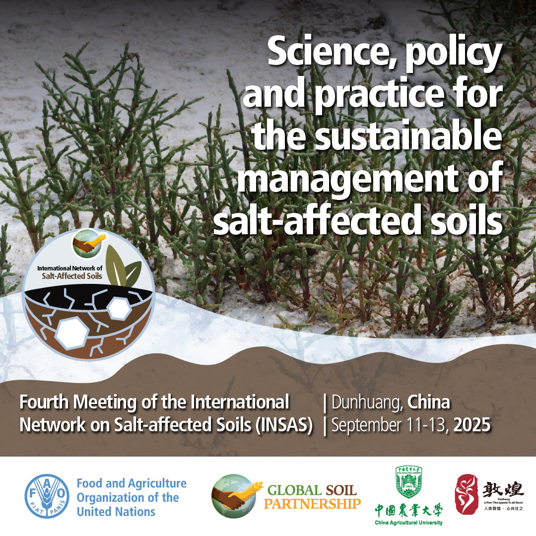 Science, policy and practice for the sustainable management of salt ...