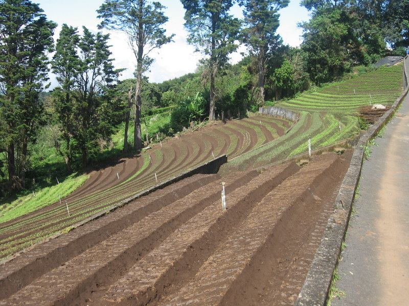 GSP Workshop “Managing Living Soils” PRESENTATIONS AVAILABLE | Global ...