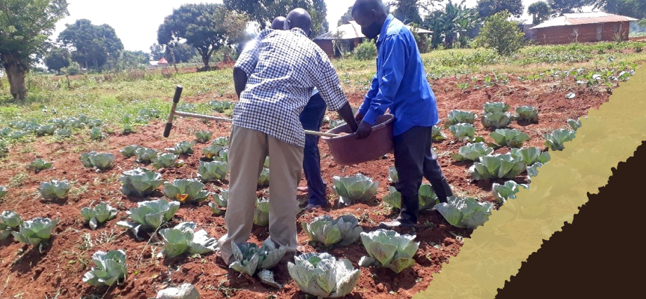 Sustainable soil and fertilizer management for Africa: a case study ...