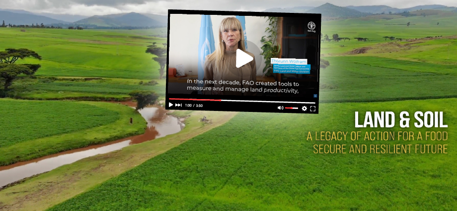 Soil is life, land is its foundation: 80 years of building a food ...