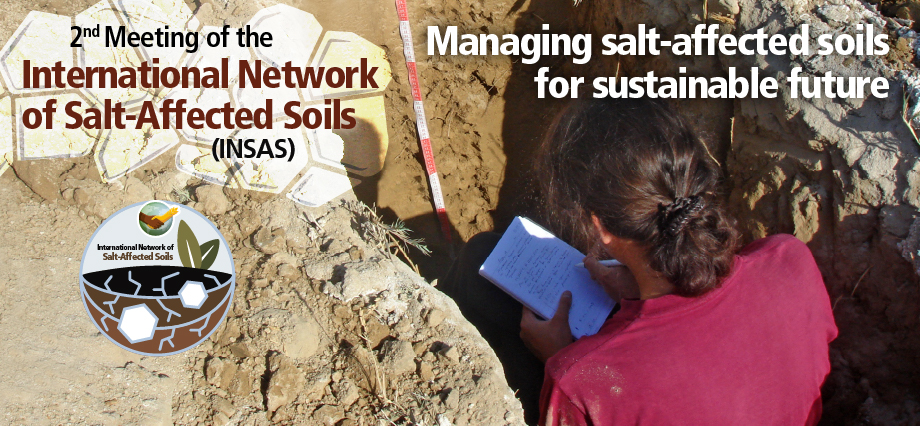 2nd Meeting of the International Network on Salt-affected Soils INSAS ...