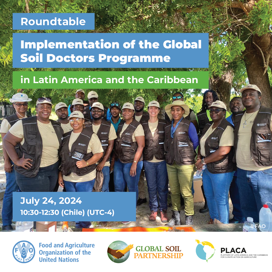 Roundtable on the implementation of the Global Soil Doctors Programme ...