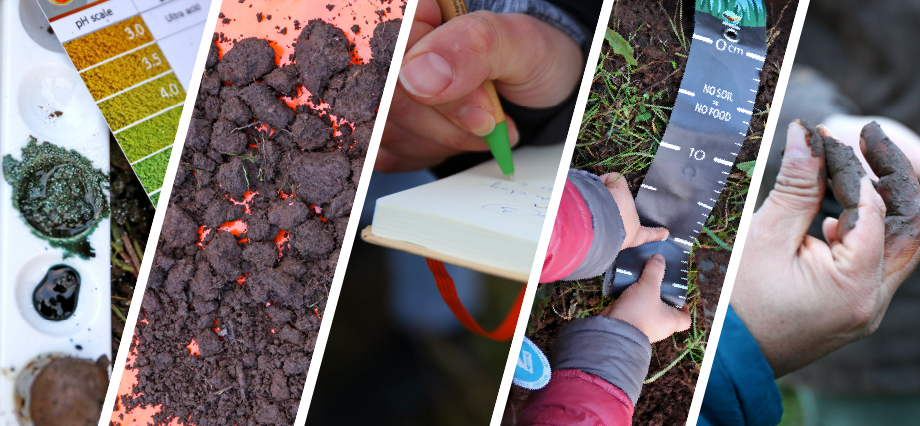 FAO and its #GlobalSoilPartnership are looking for soil specialists ...