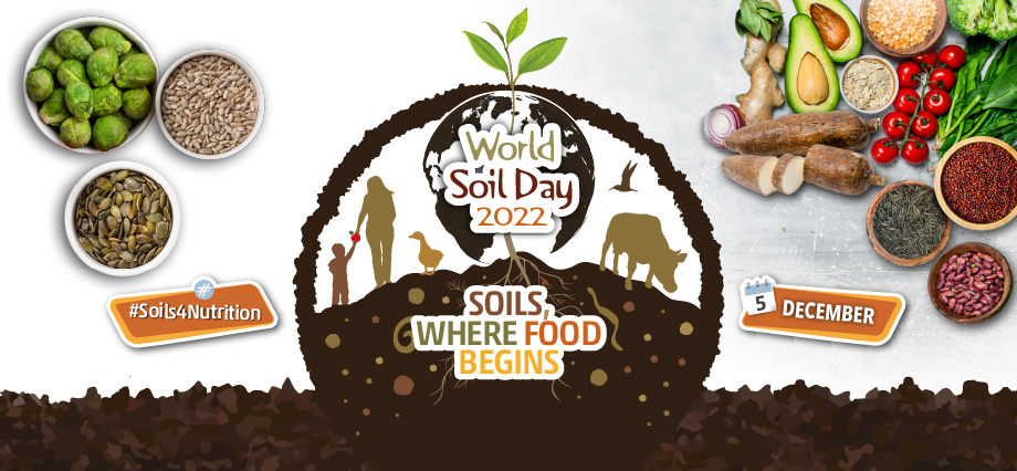 Global Soil Partnership | Food and Agriculture Organization of the ...