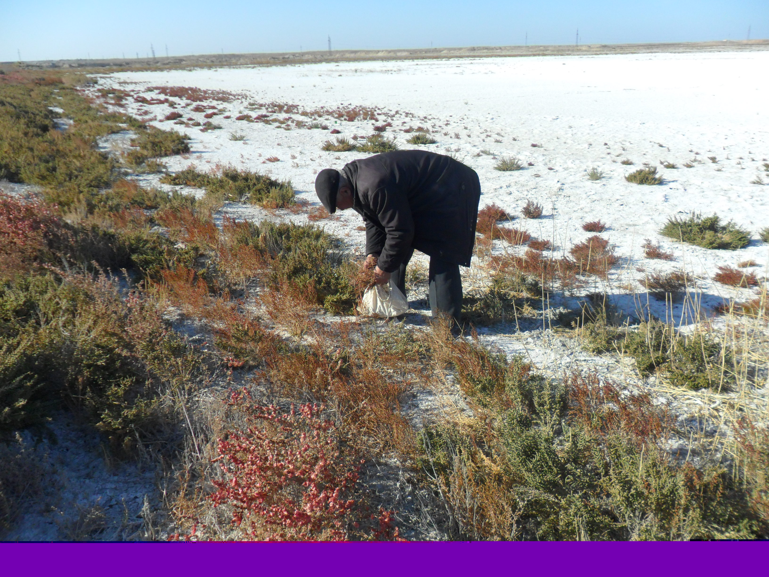 Training Workshop on Soil Salinity Management in Kharkiv, Ukraine ...