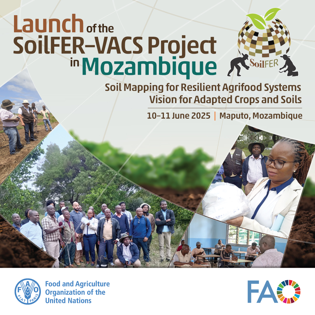 Launch of the SoilFER–VACS Project in Mozambique | Enhancing Integrated ...