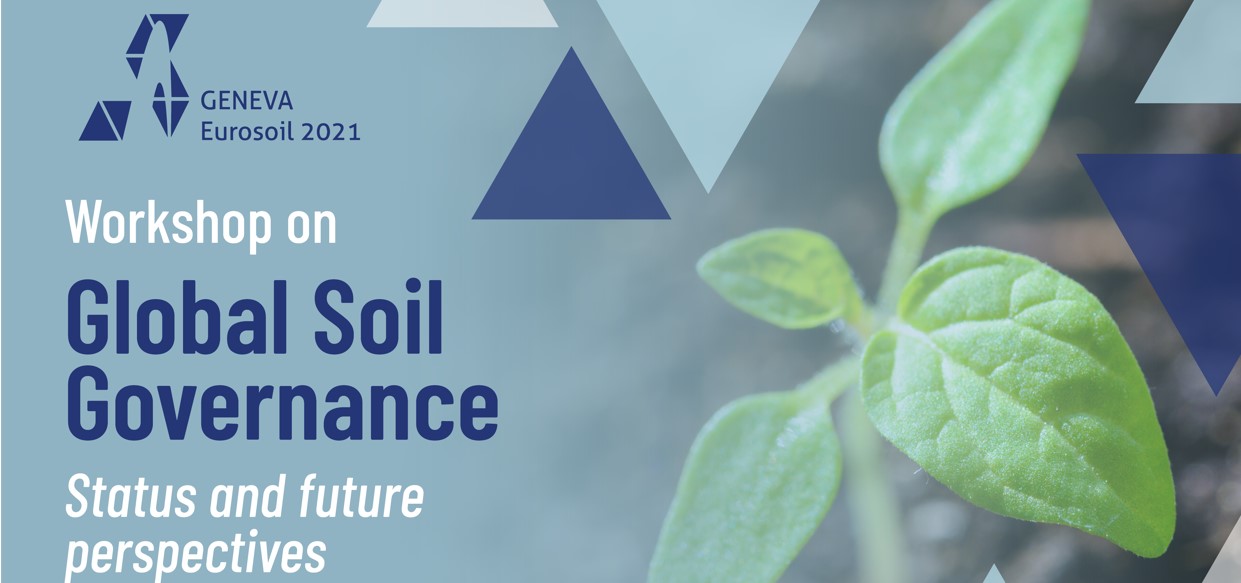 People & Soil - Global soil governance: Status and future perspectives ...