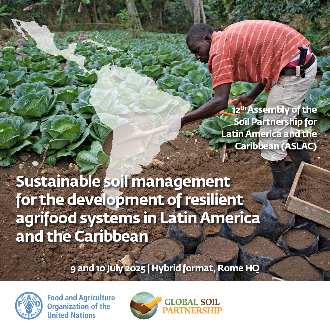12th Plenary Meeting of the Regional Soil Partnership for Latin America ...