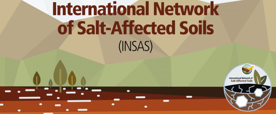 Join the first INSAS meeting on 14-15 April 2021! | Global Soil ...
