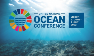 IYAFA 2022 side event at UN Ocean Conference (UNOC) | منظمة الأغذية ...