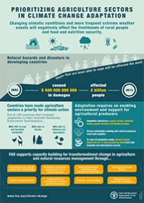 New infographic on Prioritizing Agriculture Sectors in Climate Change ...