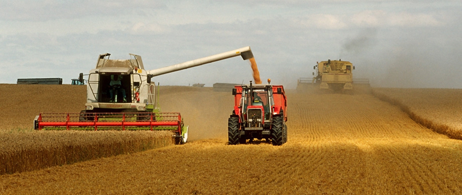 Sustainable Agricultural Mechanization | Food and Agriculture ...