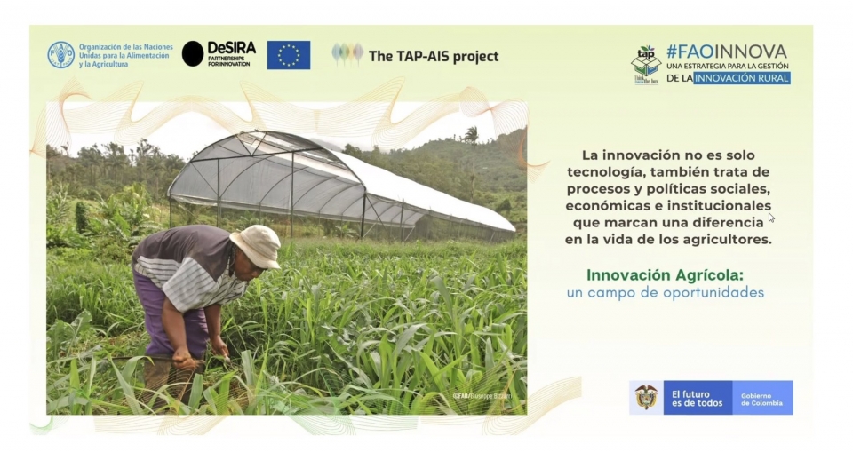 The Tropical Agriculture Platform (TAP) | Food and Agriculture ...