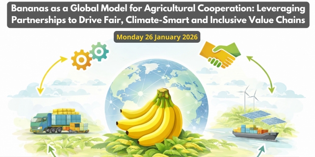 World Banana Forum | Food and Agriculture Organization of the United ...