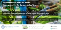 Webinar - Sustainable Solutions for Plastic Management in the Banana ...