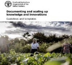 Documenting and scaling up knowledge and innovations – Guidelines and ...
