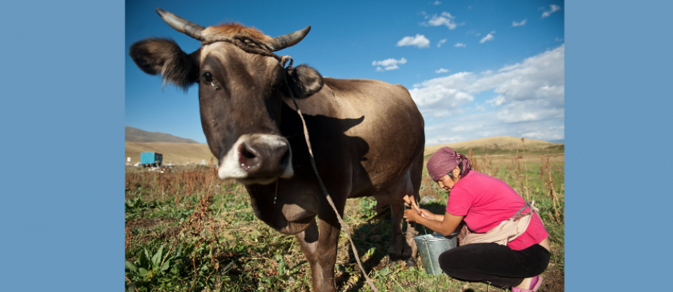 Animal Production and Health Commission for Asia and the Pacific | Food ...