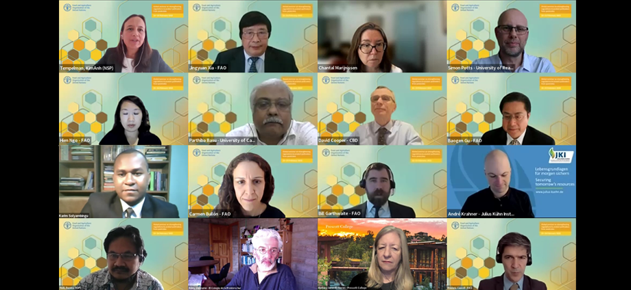 Building capacity related to Multilateral Environmental Agreements in ...