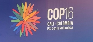 Uniting forces at COP 16: Africa and the Pacific are ready to implement ...