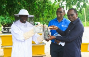 Beekeeping Project Sparks Joy Across Tanzania | Building capacity ...