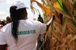 Farmer field schools empowering farmers to adapt to changing climate ...