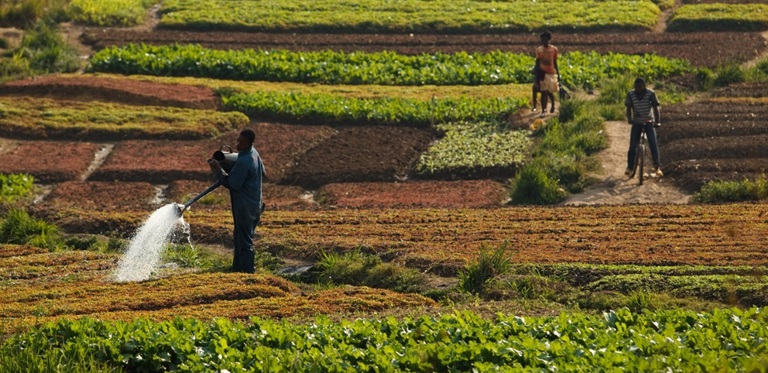 Climate Change | Food and Agriculture Organization of the United Nations