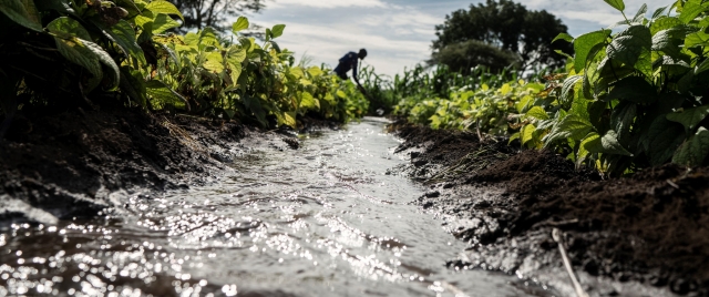 News and Events | CODEXALIMENTARIUS FAO-WHO