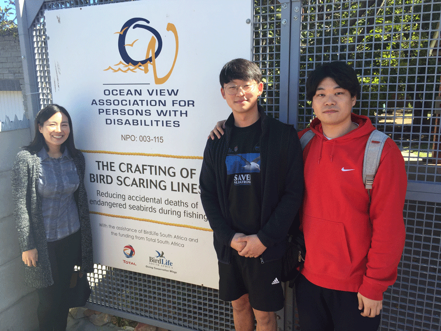 FAO and BirdLife International collaborate on seabird intensive ...