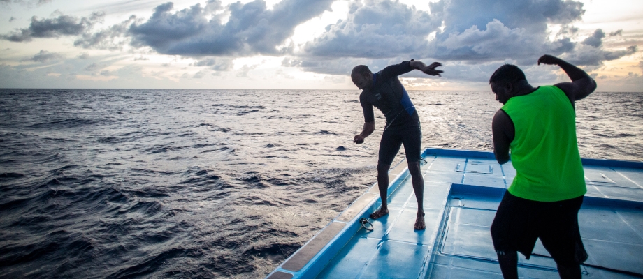 Common Oceans - A partnership for sustainability and biodiversity in ...