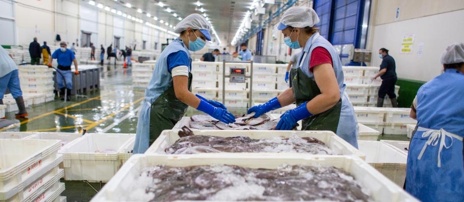 Common Oceans - A partnership for sustainability and biodiversity in ...