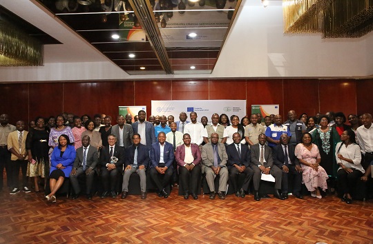 FAO in Zimbabwe | Organización de las Naciones Unidas para la ...