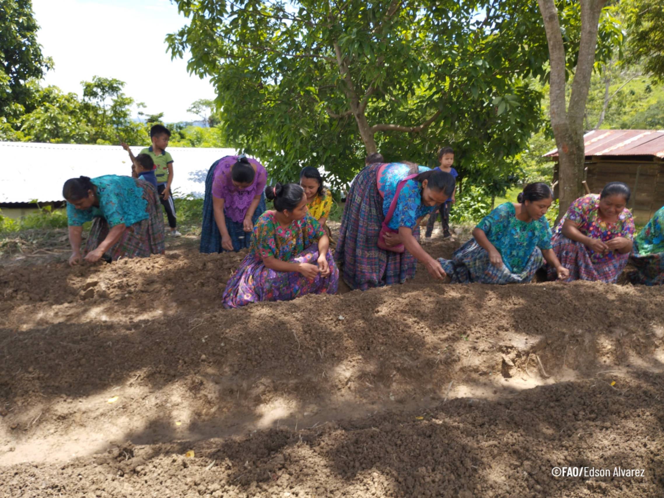 Organización de las Naciones Unidas para la Alimentación y la ...