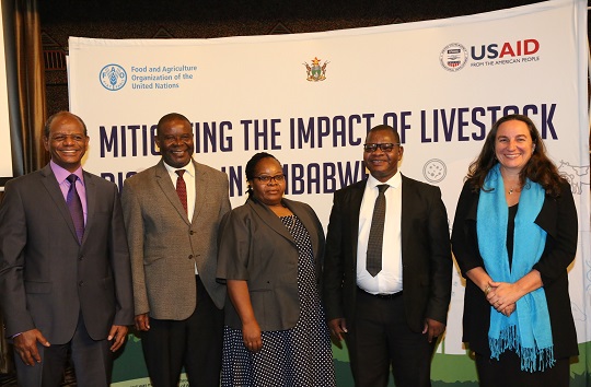 FAO in Zimbabwe | Organización de las Naciones Unidas para la ...