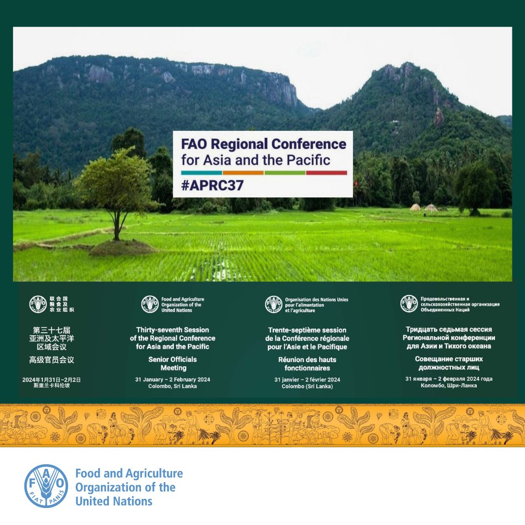 FAO in Viet Nam | Food and Agriculture Organization of the United Nations