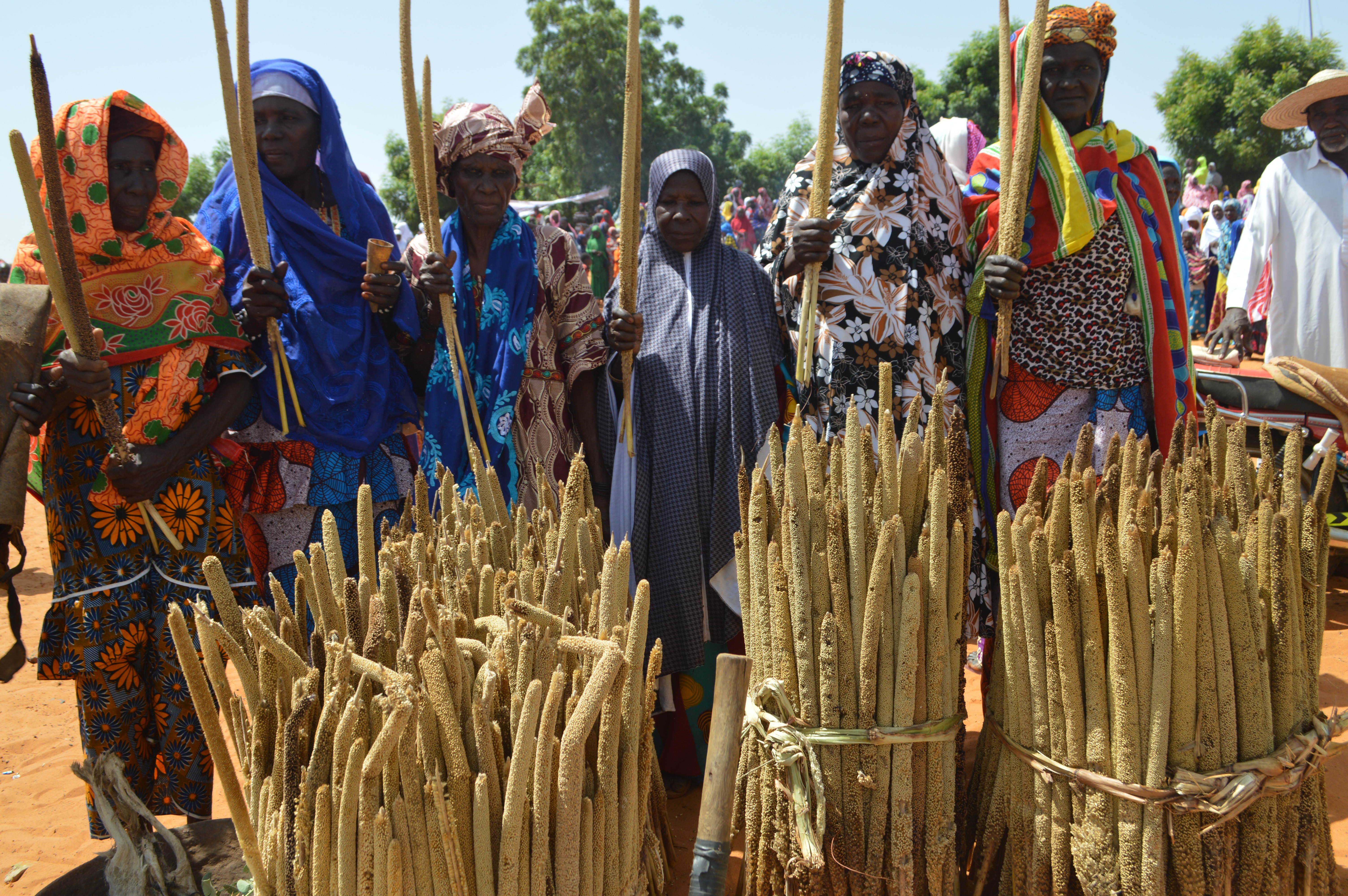FAO au Niger | Organisation des Nations Unies pour l'alimentation et l ...