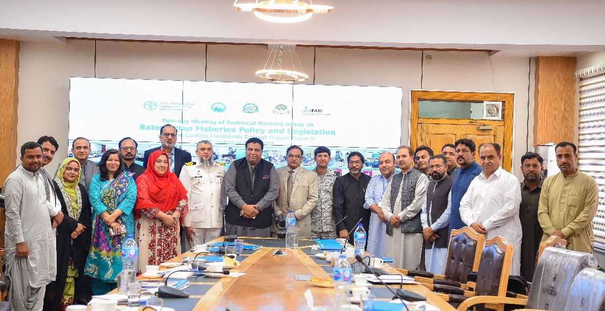 FAO in Pakistan | Food and Agriculture Organization of the United Nations